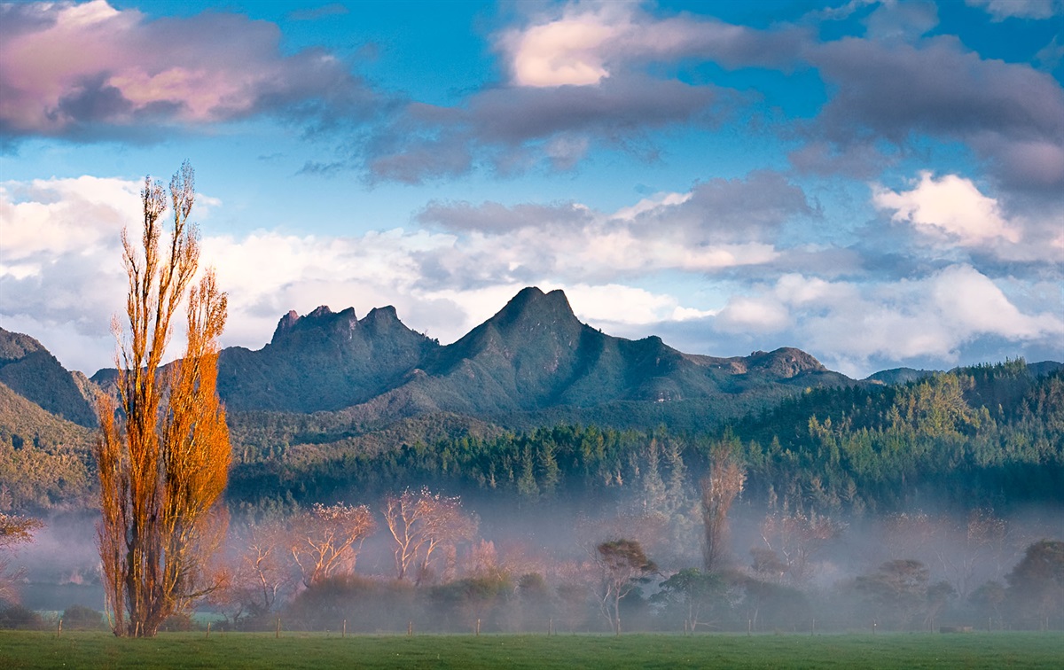 District Plan Maps | TCDC